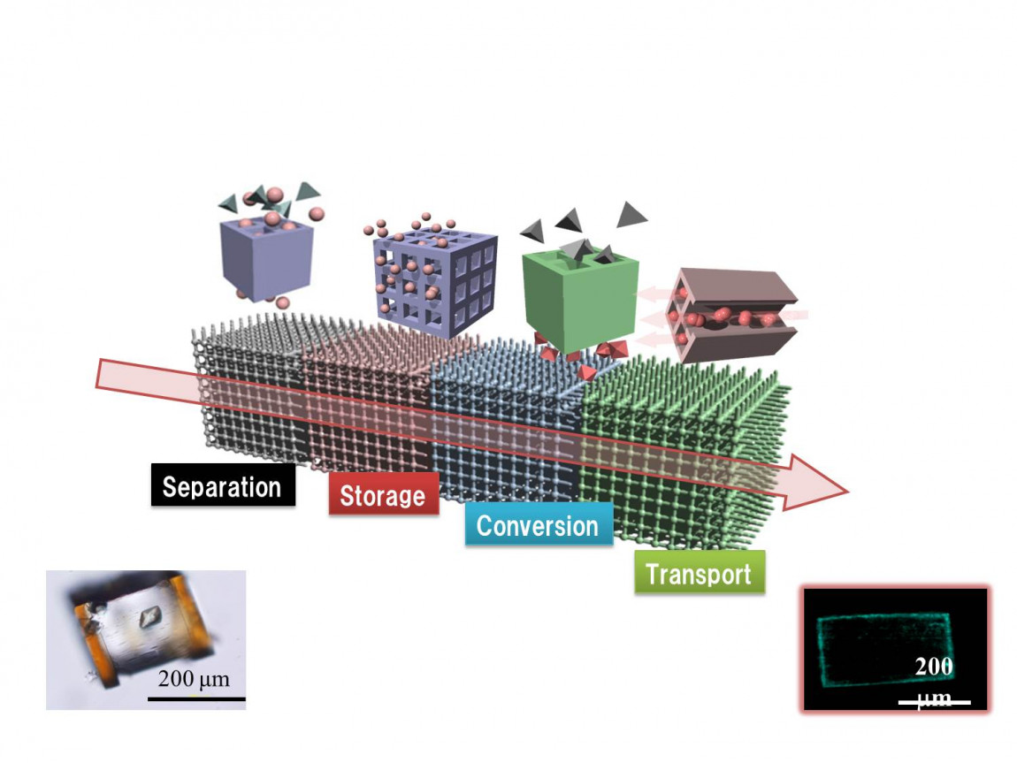 Crystal Integration | Kitagawa Group, iCeMS